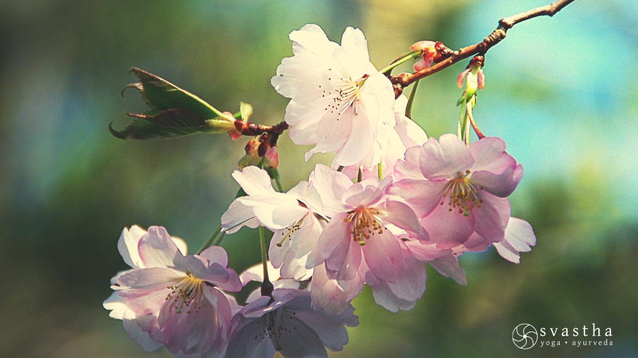 Chant Poornamadah with Nitya Mohan - Svastha Yoga & Ayurveda